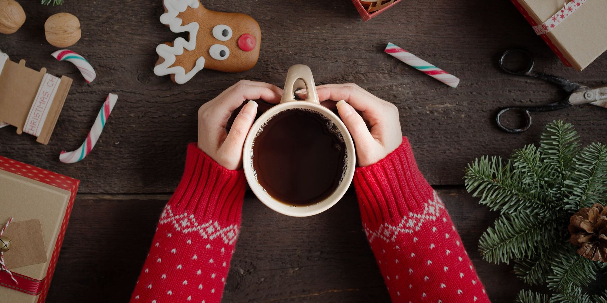 Terra Coffee & Tea | Specialty Coffee Beans & Artisanal Tea Since 1978