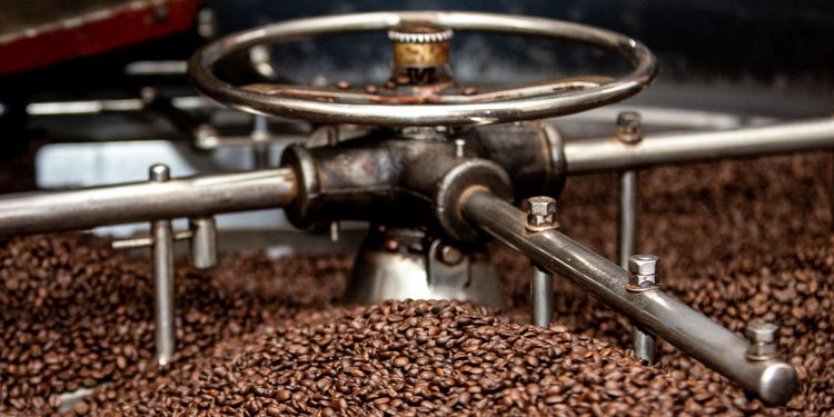 Terra Coffee & Tea - Specialty Coffee & Artisanal Tea, Crafted with ...