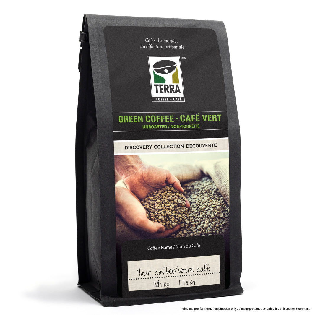 Direct Trade Green Coffee Beans l Terra Coffee